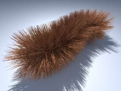 Realsoft 3D Animation